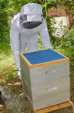 Your Guide to Protective Beekeeping Clothing