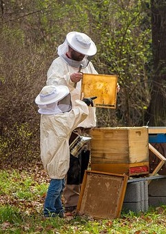 Home Beekeeping | Butterfly and Bee Garden