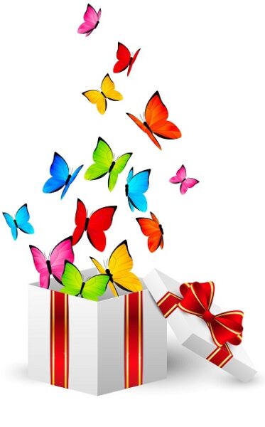 Flying Butterfly Surprise Box – Elevate Your Gift Game