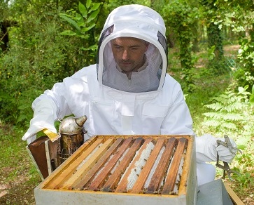 What is a Beekeeper? Exploring the World of Apiculture